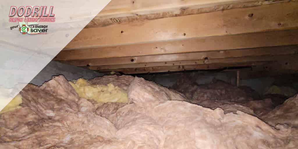 Crawl Space Moisture Issues and How to Fix Them!